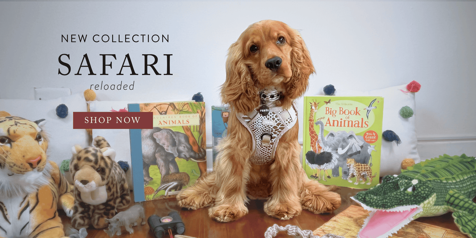 Feroz Pet Fashion